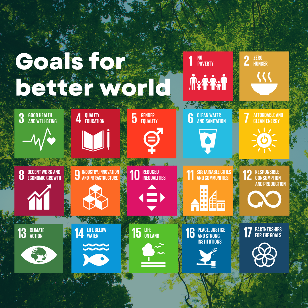 Understanding the 17 Sustainable Development Goals (SDGs) - Sustainable Note
