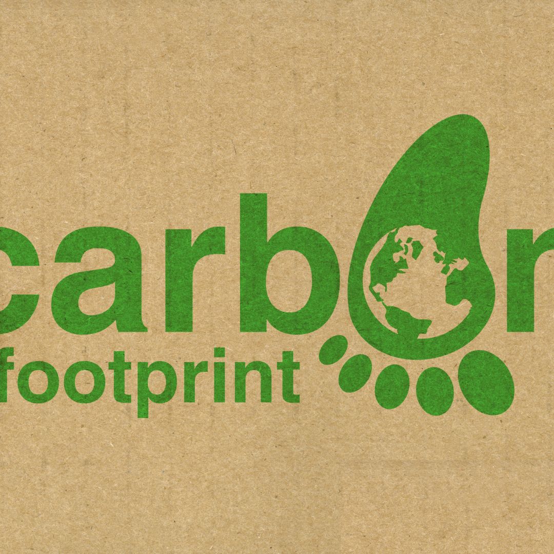 10 Proven Ways to Reduce Your Carbon Footprint in 2025 – Practical Tips ...